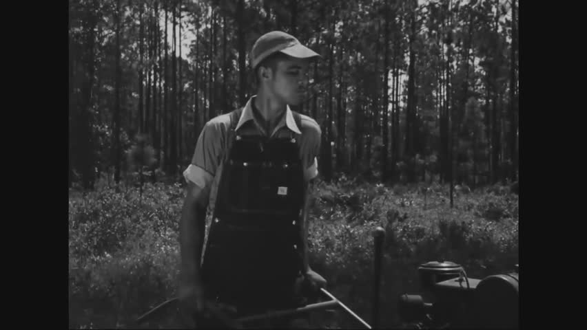 Hunter Family Uses Power Saw Chop | Editorial Video | 13193818b ... Hunter Family Uses Power Saw Chop | Editorial Video | 13193818b ...