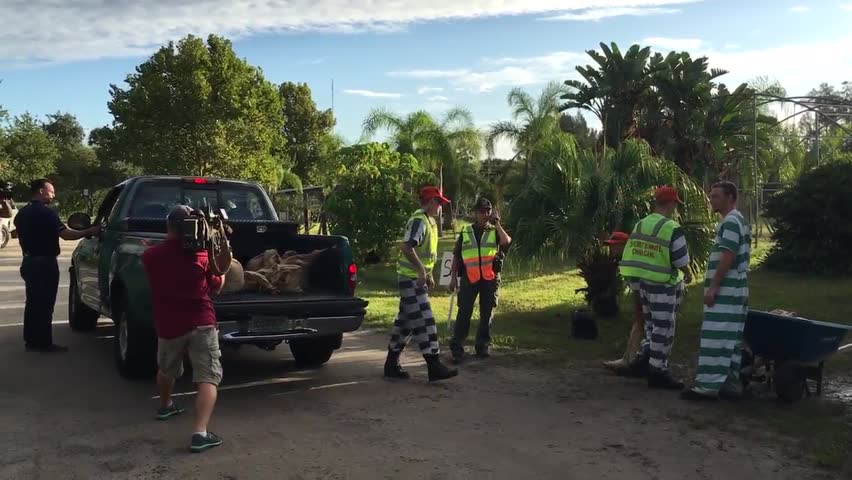 Inmates Brevard County Sheriffs Office Inmate | Editorial Video ... Inmates Brevard County Sheriffs Office Inmate | Editorial Video ...